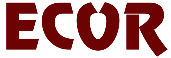 EXAMES NA ECOR - Dr. Fernando Morcerf - ECOR